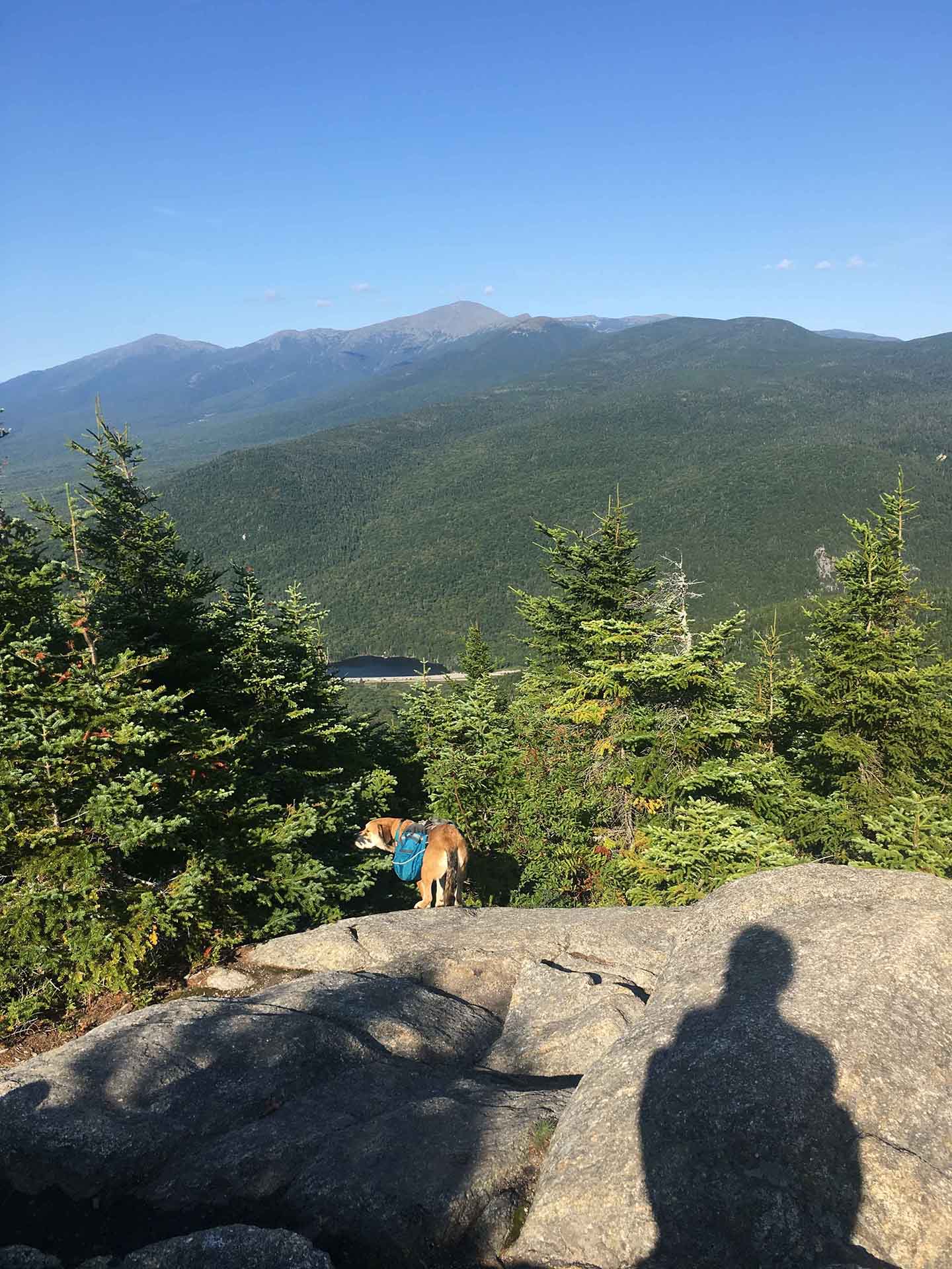 Mount Avalon - Hiking with Dogs