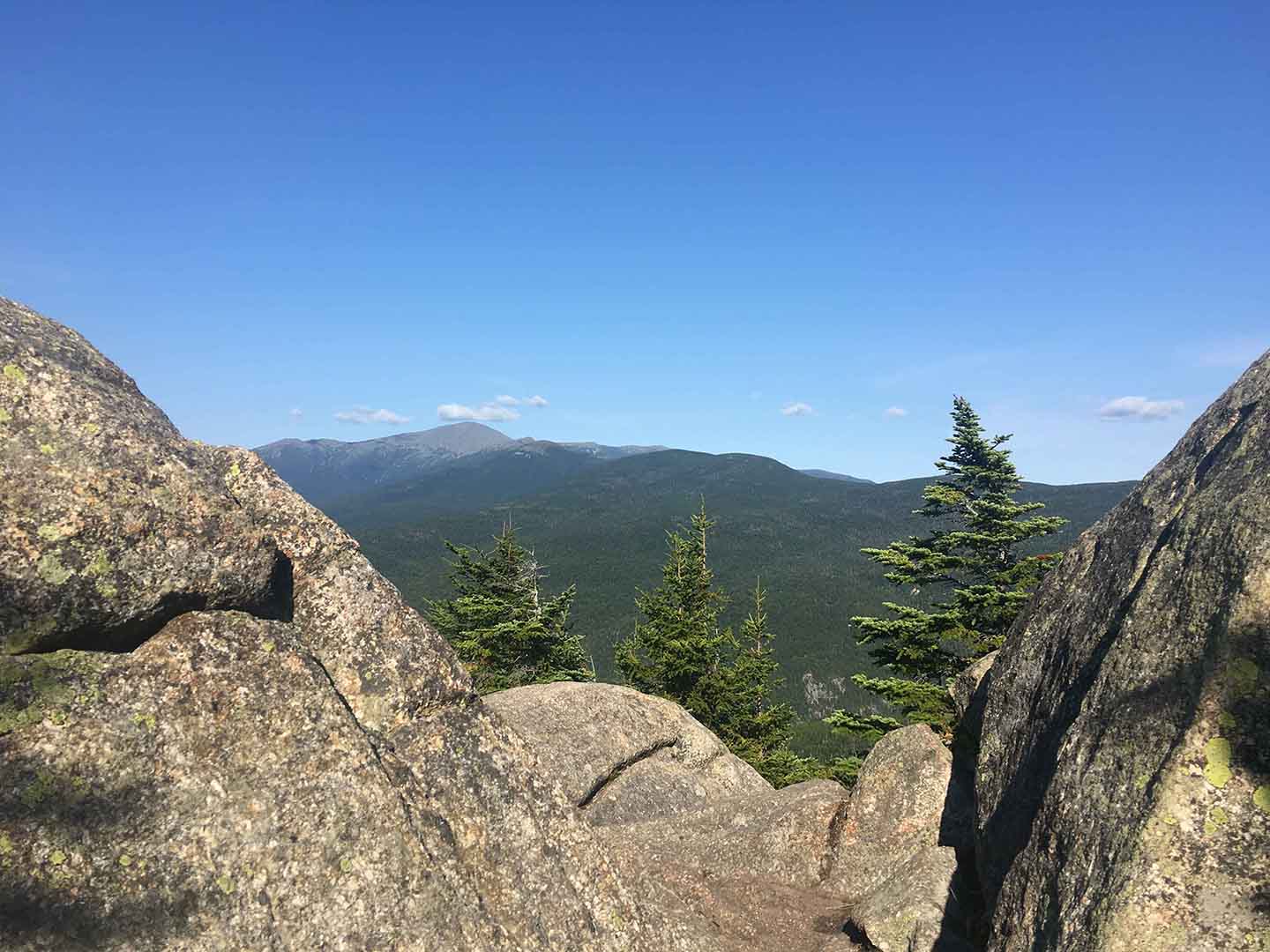 Mount Avalon - Hiking with Pups