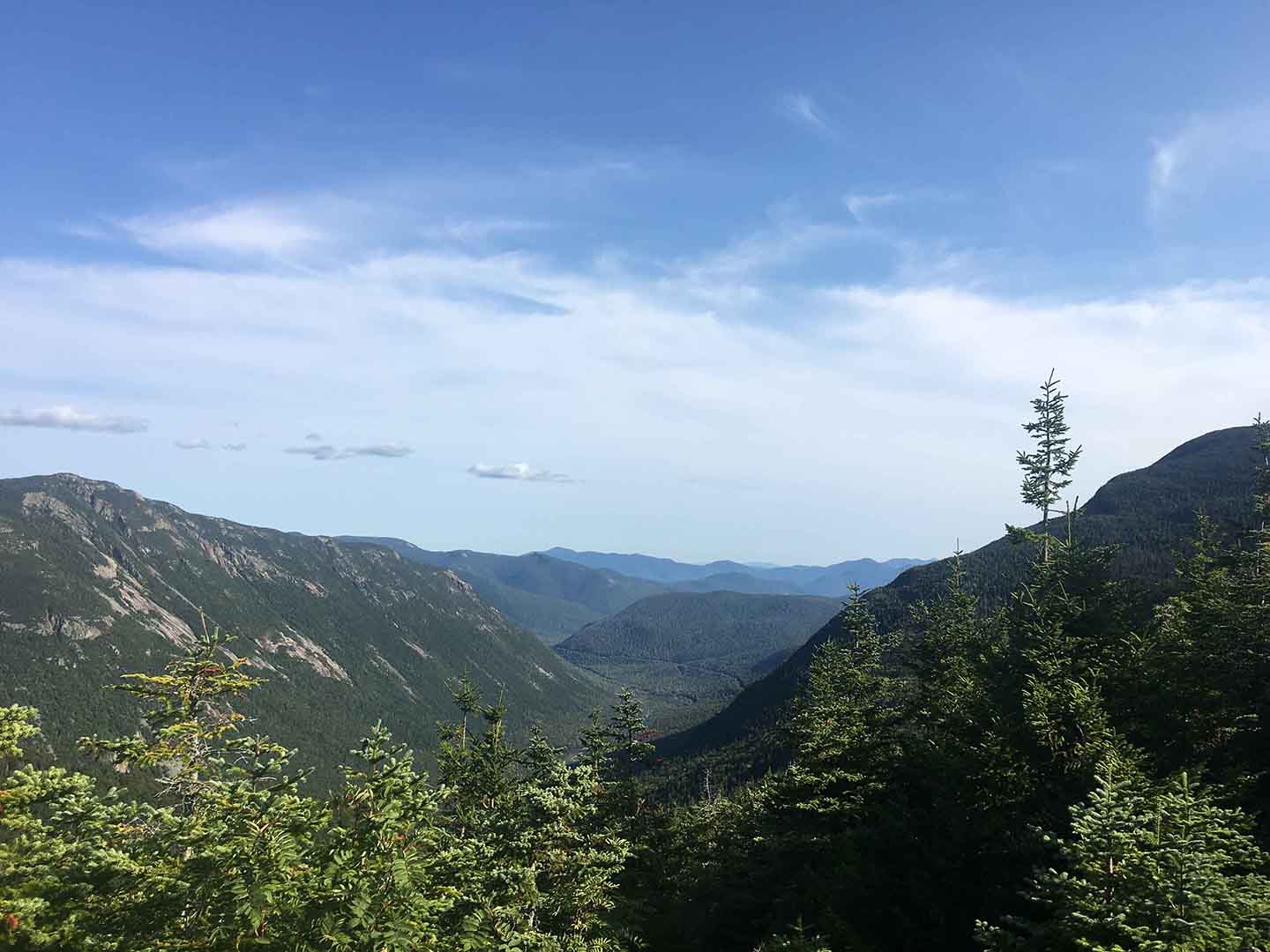 Mount Avalon - Hiking with Pups