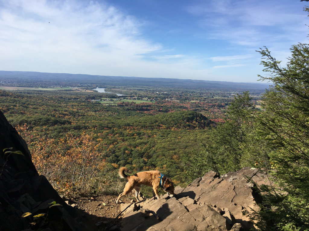 Skinner State Park - Hiking with Pups