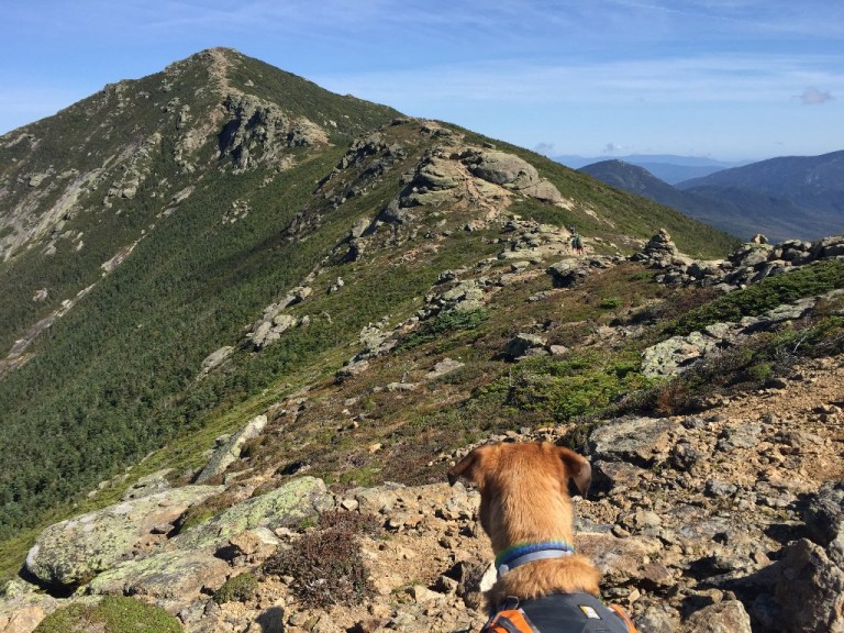 Pemi Loop - Hiking with Dogs