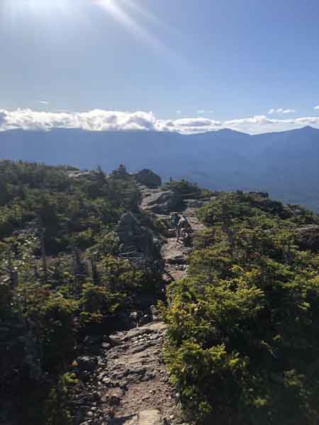 Mount Hight - Hiking with Dogs